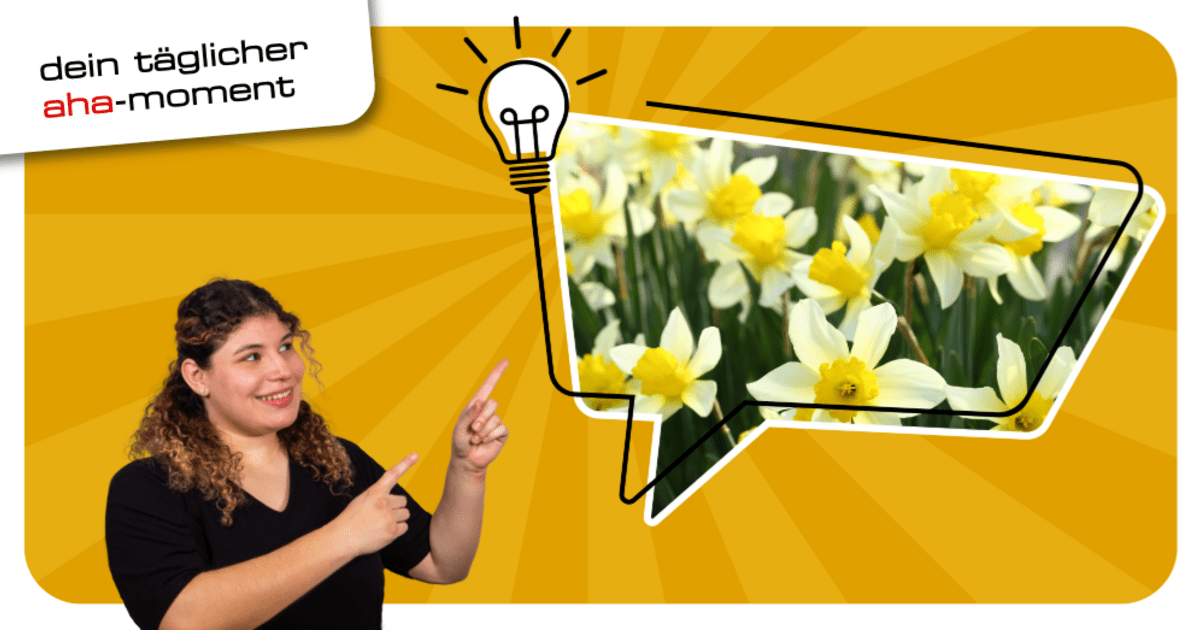 Aha-Moment: Warum heißen Narzissen eigentlich Narzissen? | baden.fm